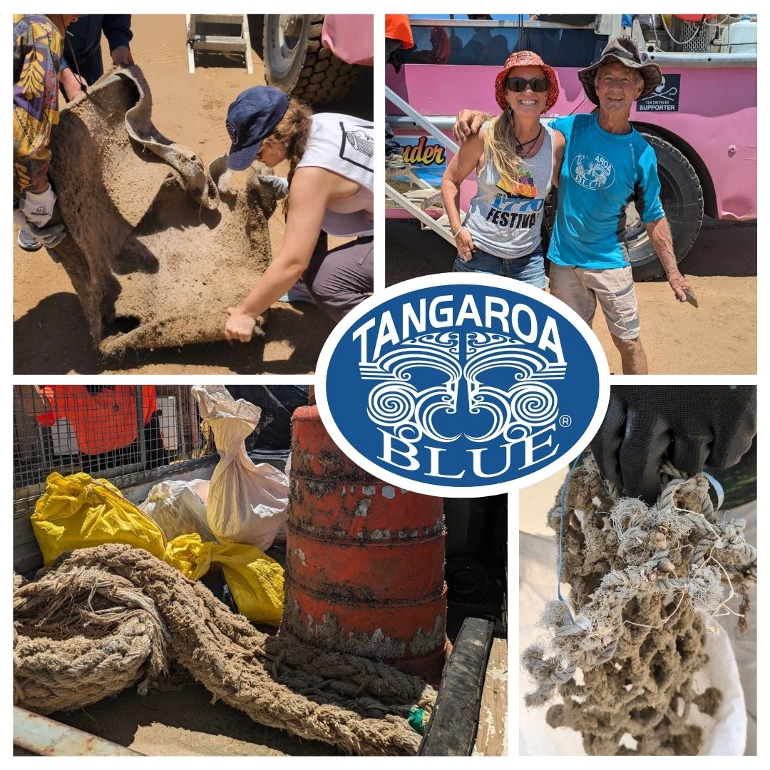 Turning the Tide: Amity Blue Now Donates $1 from Every Beach Towel Sal