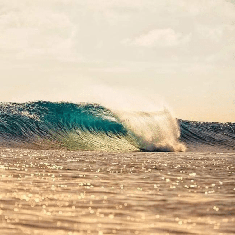 Autumn Designs – Amity Blue